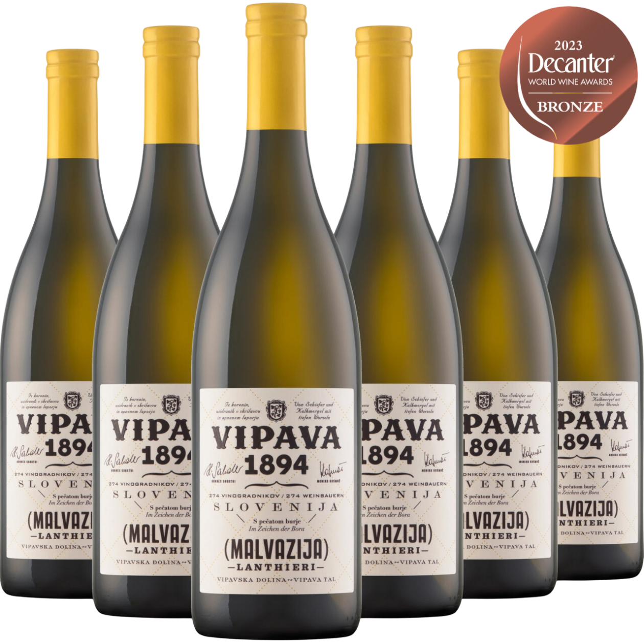 Spletna stran Vipava 1894